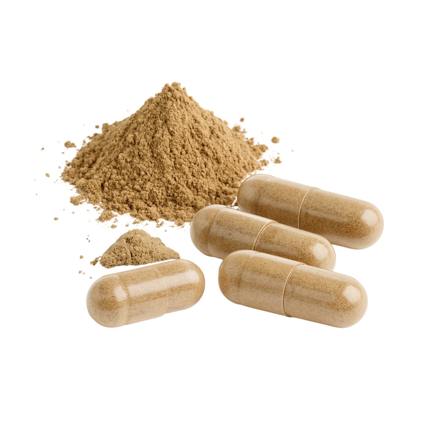 Pure Fungi Organic Powder and Capsule Extract Products