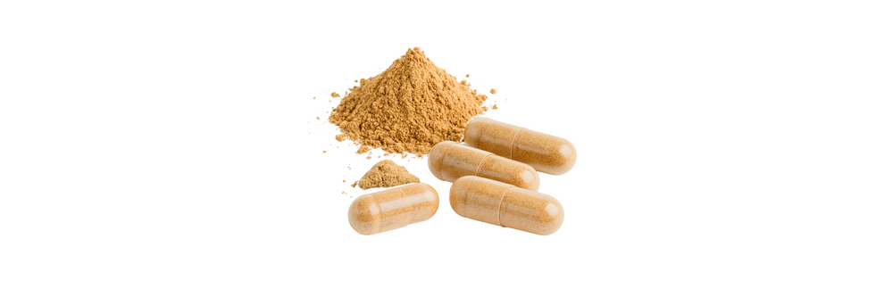 Pure Fungi Organic Powder and Capsule Extract Products